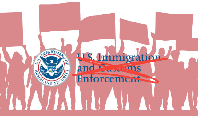 More than ICE: the protest industrial complex behind the anti-ICE ...